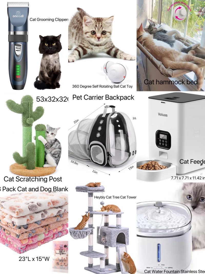 Cat Supplies Pack Cat Supplies Bundle Pack - HappyForestStore